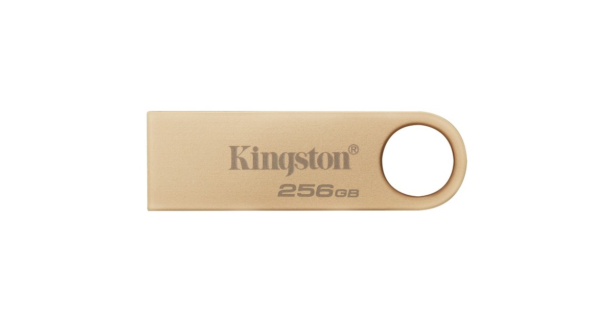 Kingston DataTraveler 256 GB 220 MB/s Metal USB 3.2 Gen 1 SE9 G3, USB ...