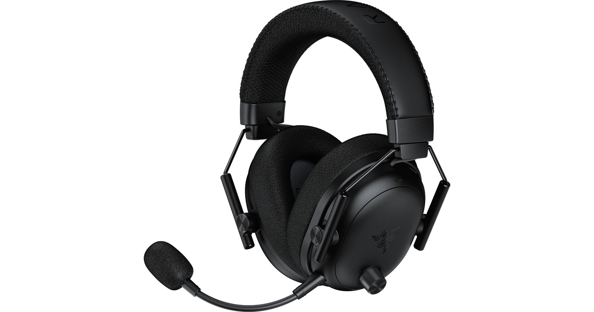 Razer RZ04-05400100-R3M1, Gaming headset Sort